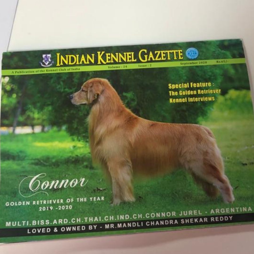 We strengthen our presence in India - Dibaq Group